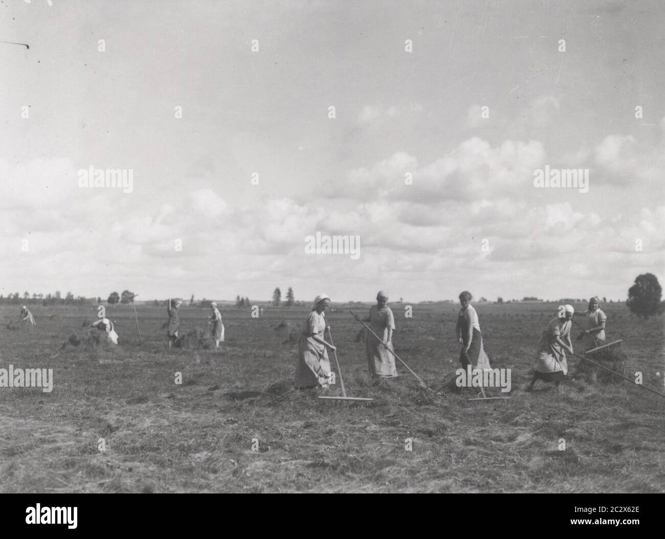 Female labor service in the country Heinrich Hoffmann Photographs 1933 ...