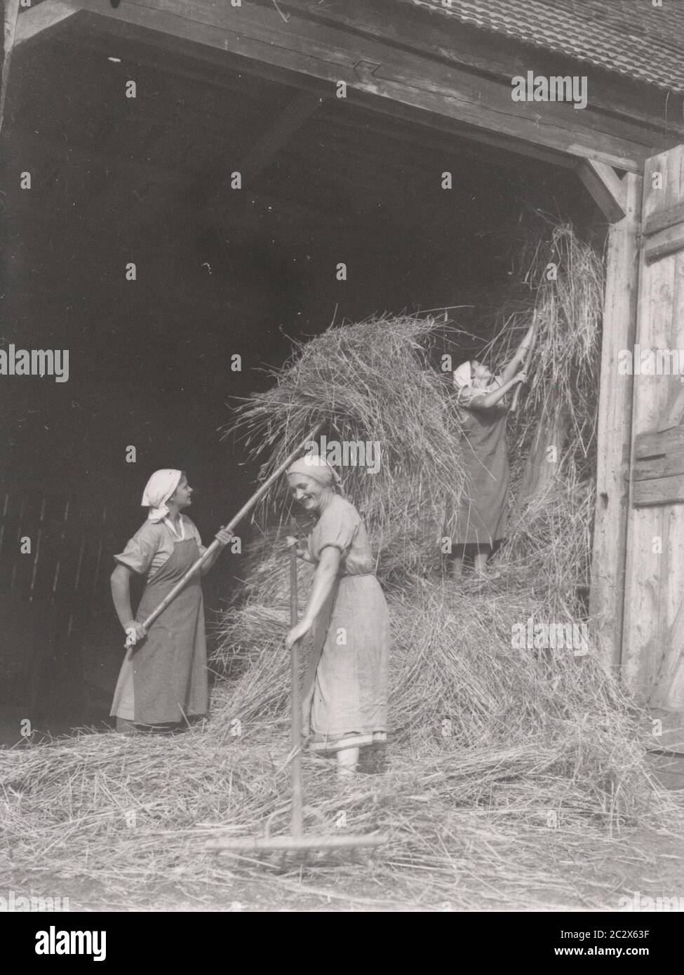 Female labor service in the country Heinrich Hoffmann Photographs 1933 ...