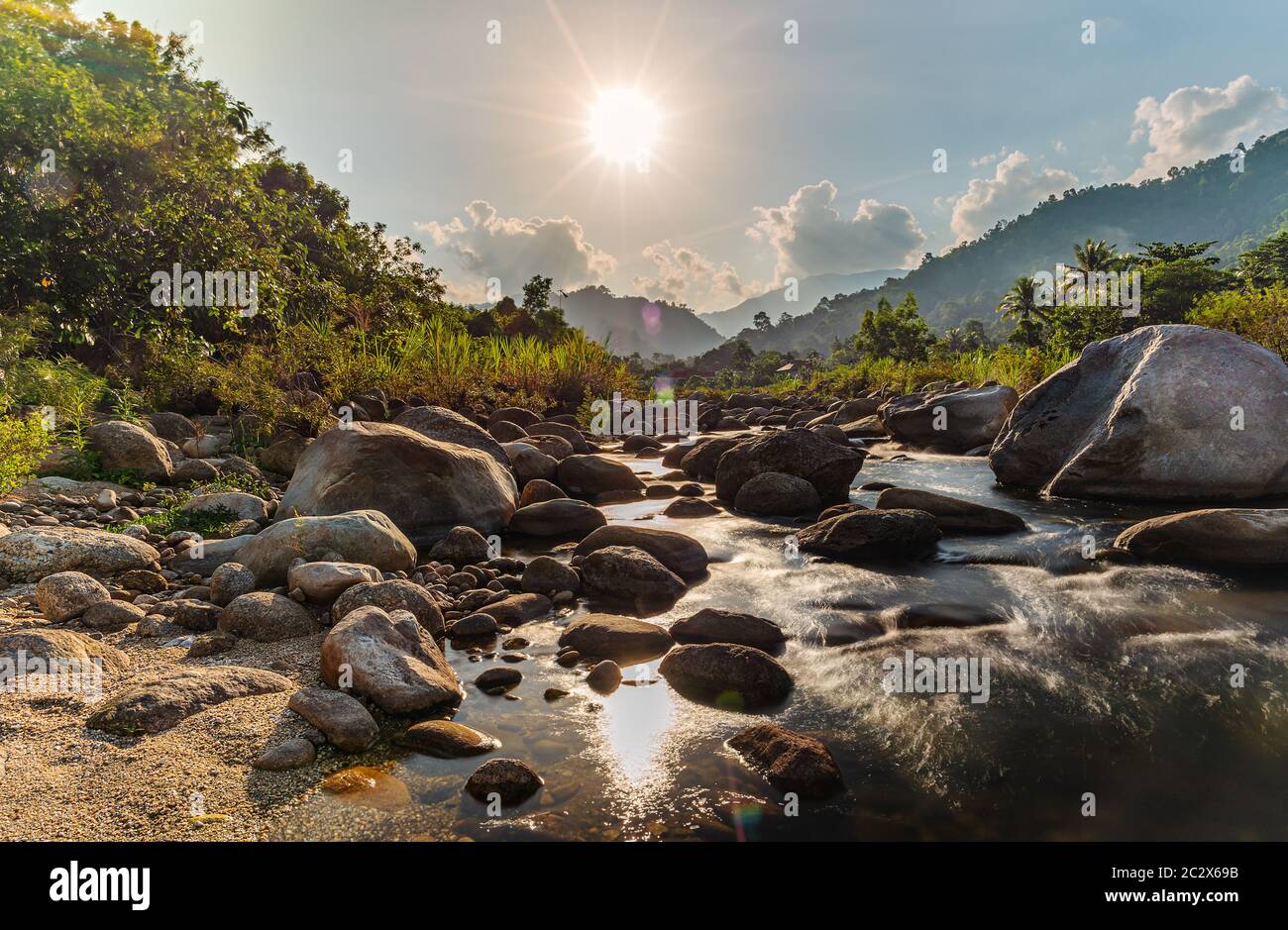 River stone and tree with sun beam, View water river tree, Stone river ...