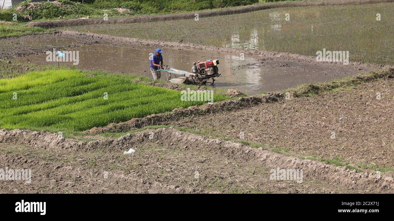 Farmer nepal tractor hi-res stock photography and images - Alamy