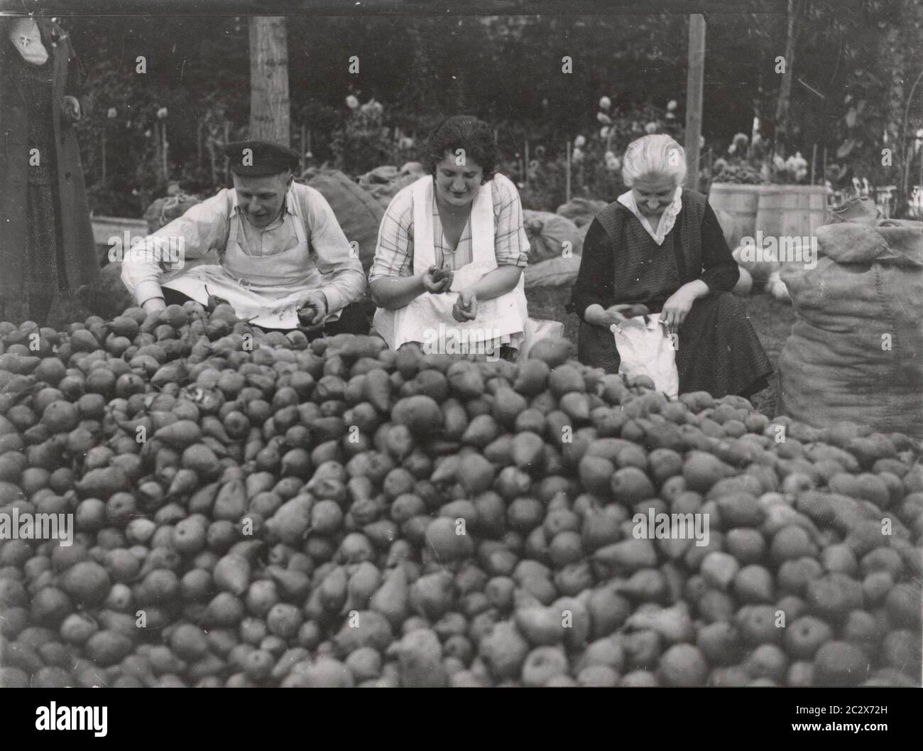 Canned Food Reportage Heinrich Hoffmann Photographs 1933 Adolf Hitler's ...