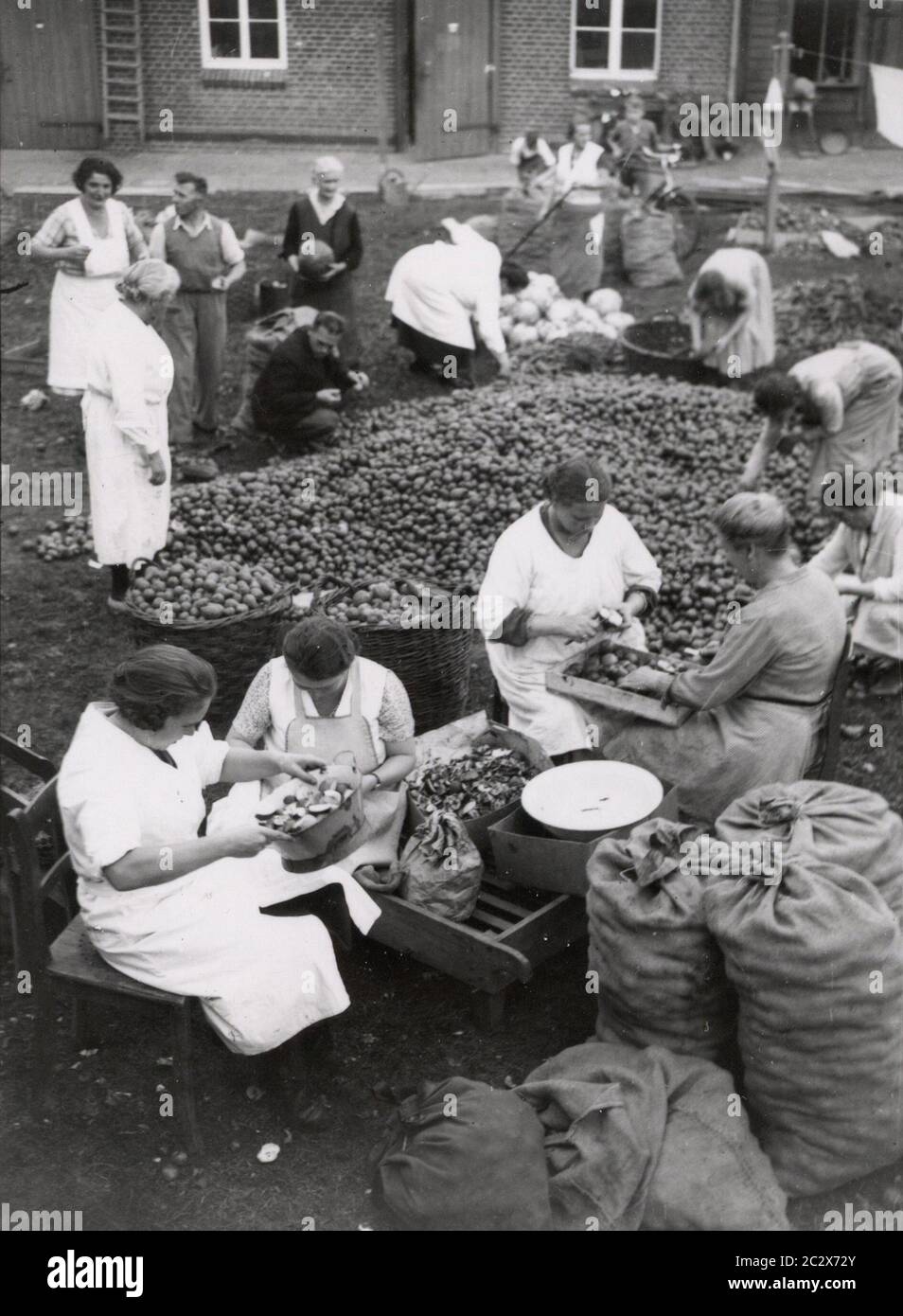 Canned Food Reportage Heinrich Hoffmann Photographs 1933 Adolf Hitler's ...