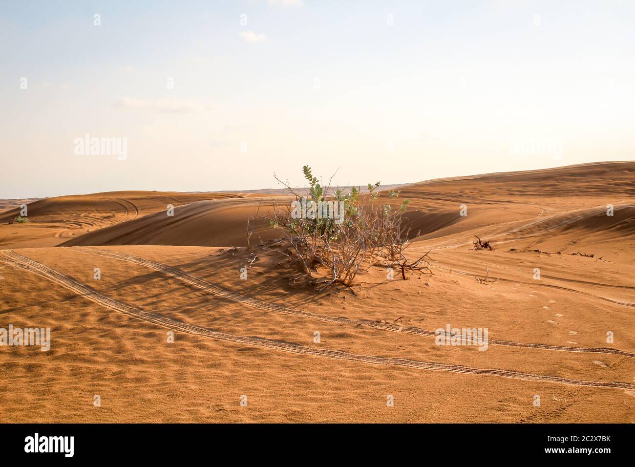 Arid season hi-res stock photography and images - Alamy