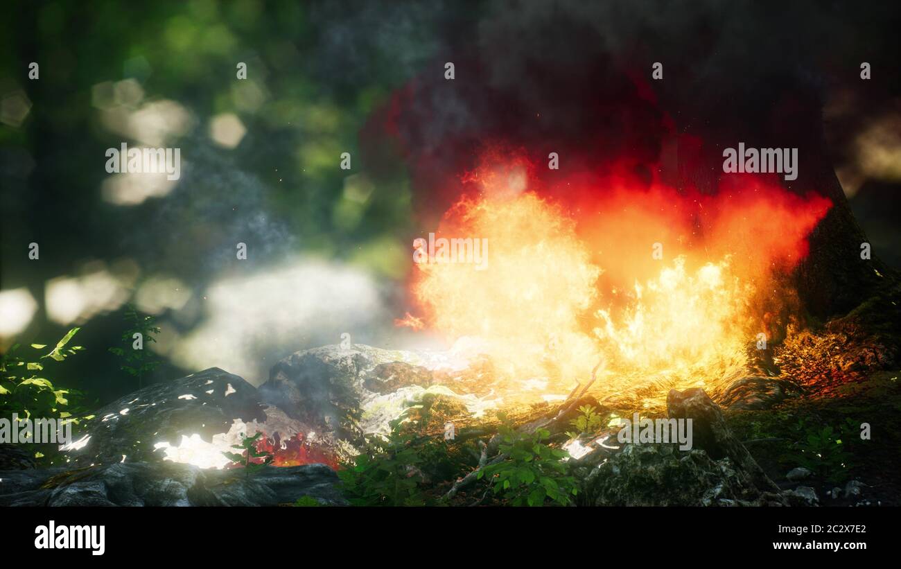Wind blowing on a flaming trees during a forest fire Stock Photo - Alamy