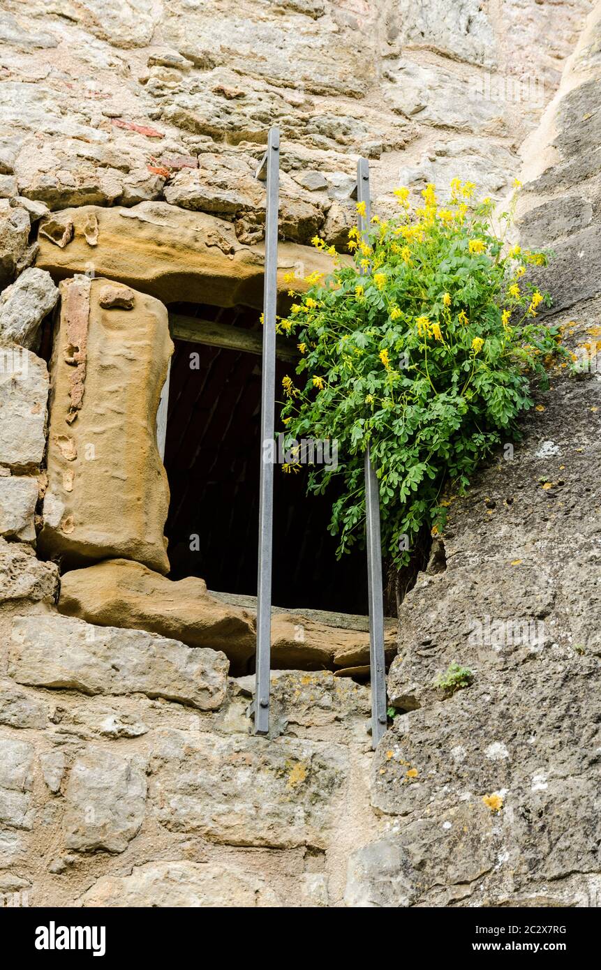window of a prison Stock Photo - Alamy