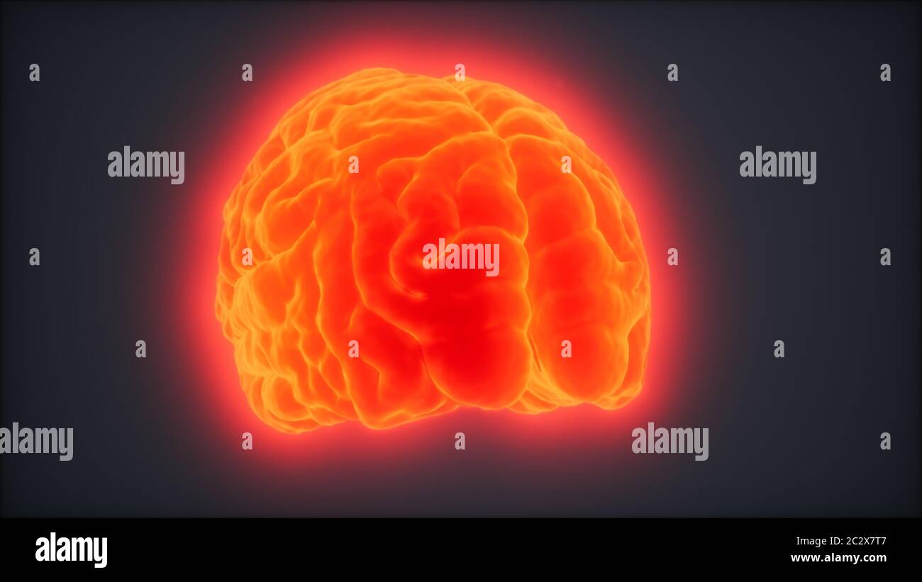 Loop Rotating Human Brain Animation Stock Photo - Alamy