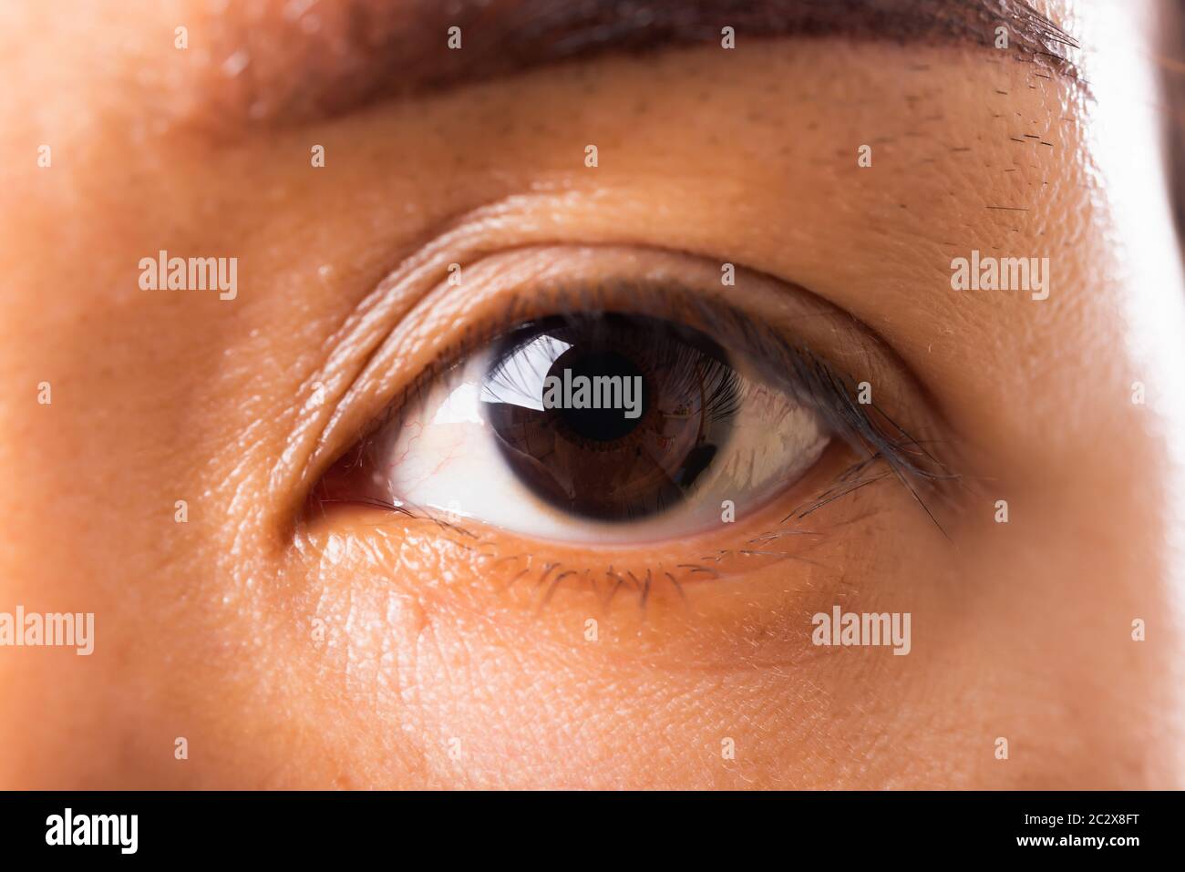 Close up detail macro of iris eyebrow or eyes Asian young woman open ...