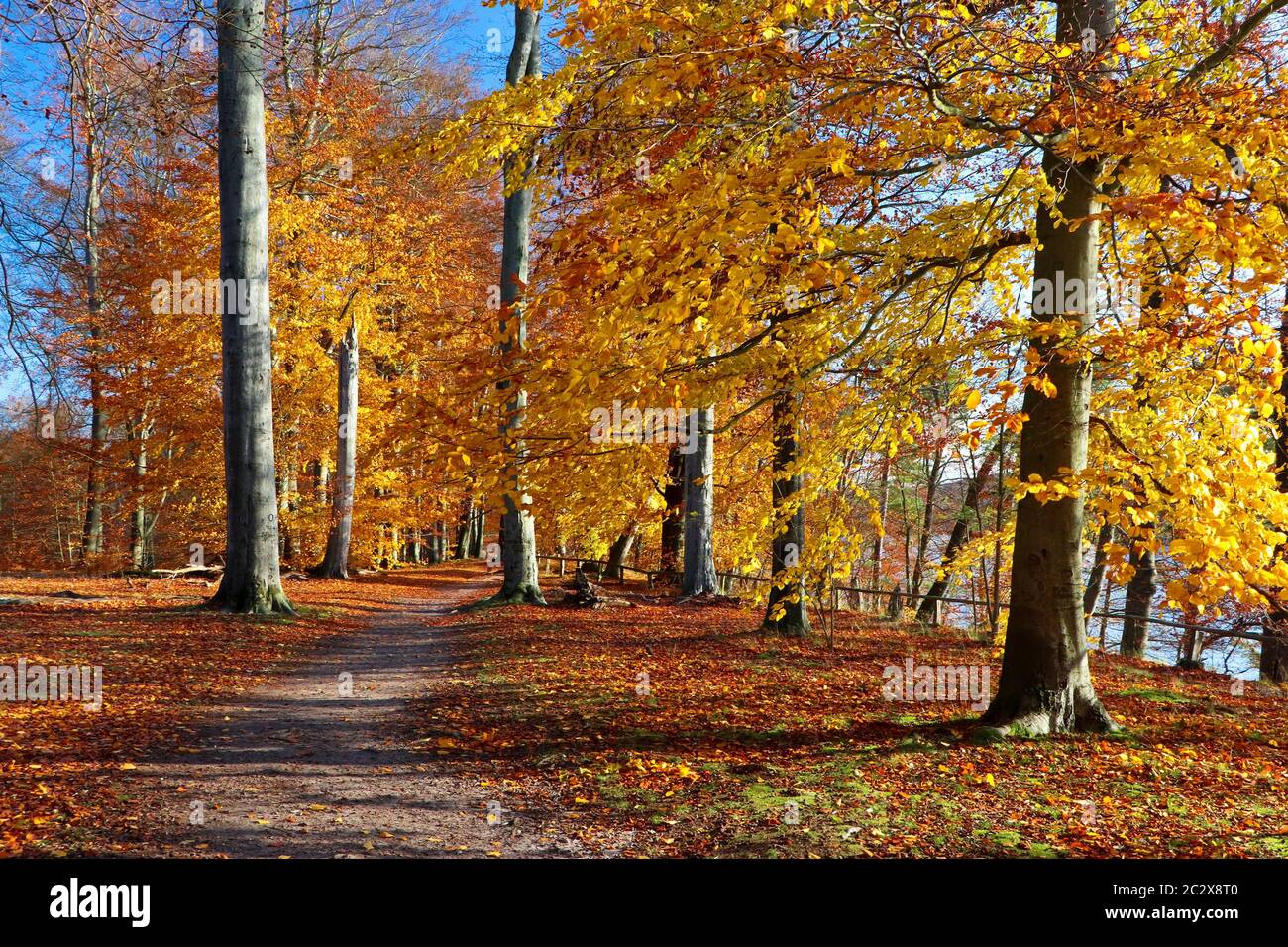 Brandenburg stone hi-res stock photography and images - Alamy