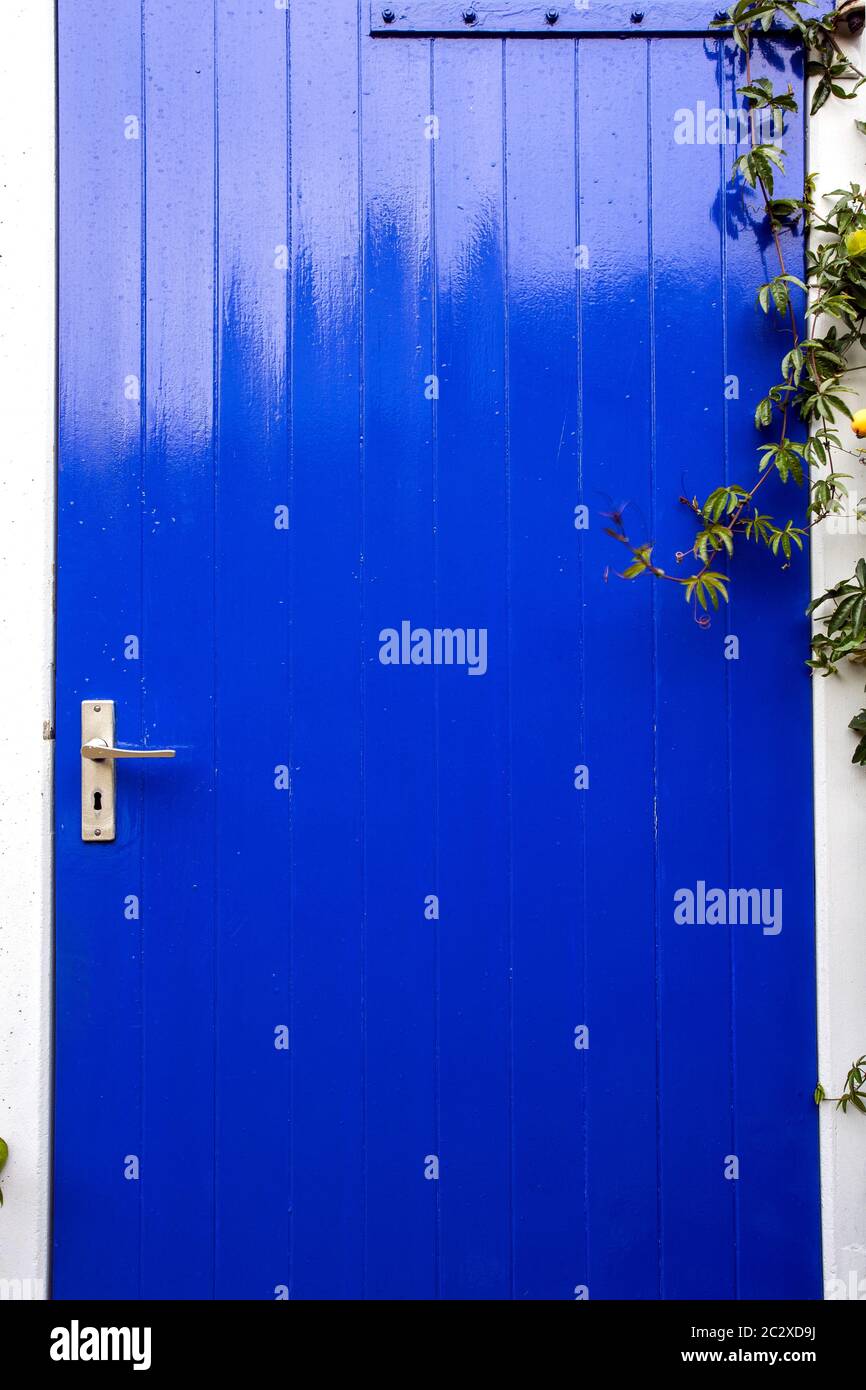 Blue wooden door with a green plant hanging, shed door close-up ...