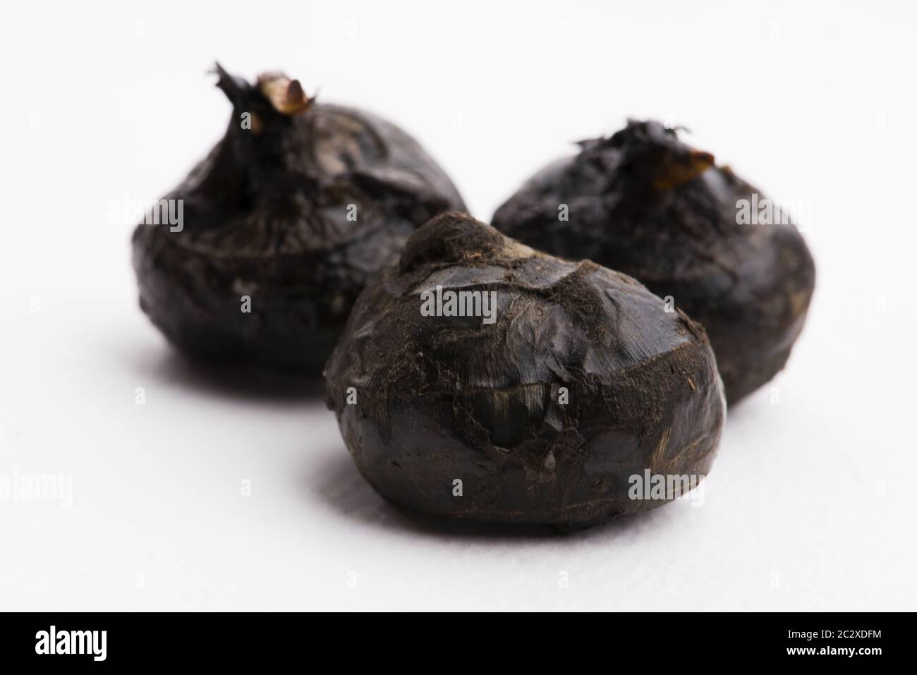 Chinese water chestnut on white Stock Photo - Alamy