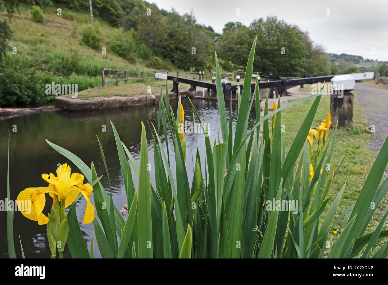 Rochdale canal locks hi-res stock photography and images - Alamy