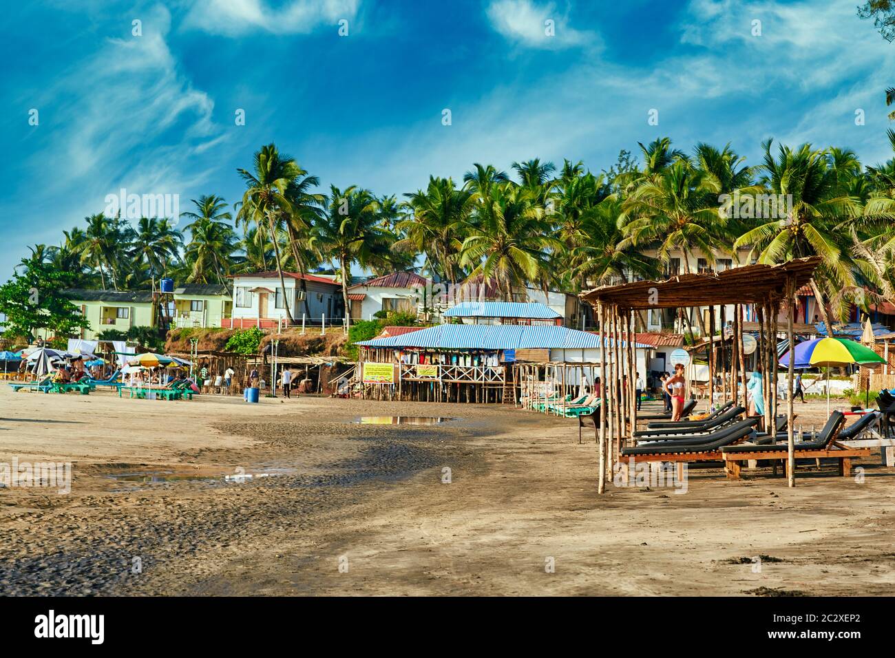 Beautiful tropical beach with palms in Goa Stock Photo - Alamy