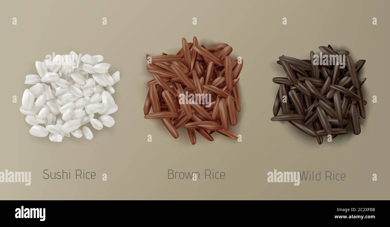 Rice sushi, brown and wild grain piles top view isolated on white ... Rice sushi, brown and wild grain piles top view isolated on white ...