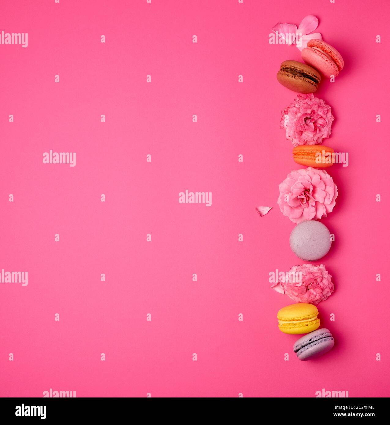 sweet multi-colored macarons with cream and a pink rose bud on a pink ...