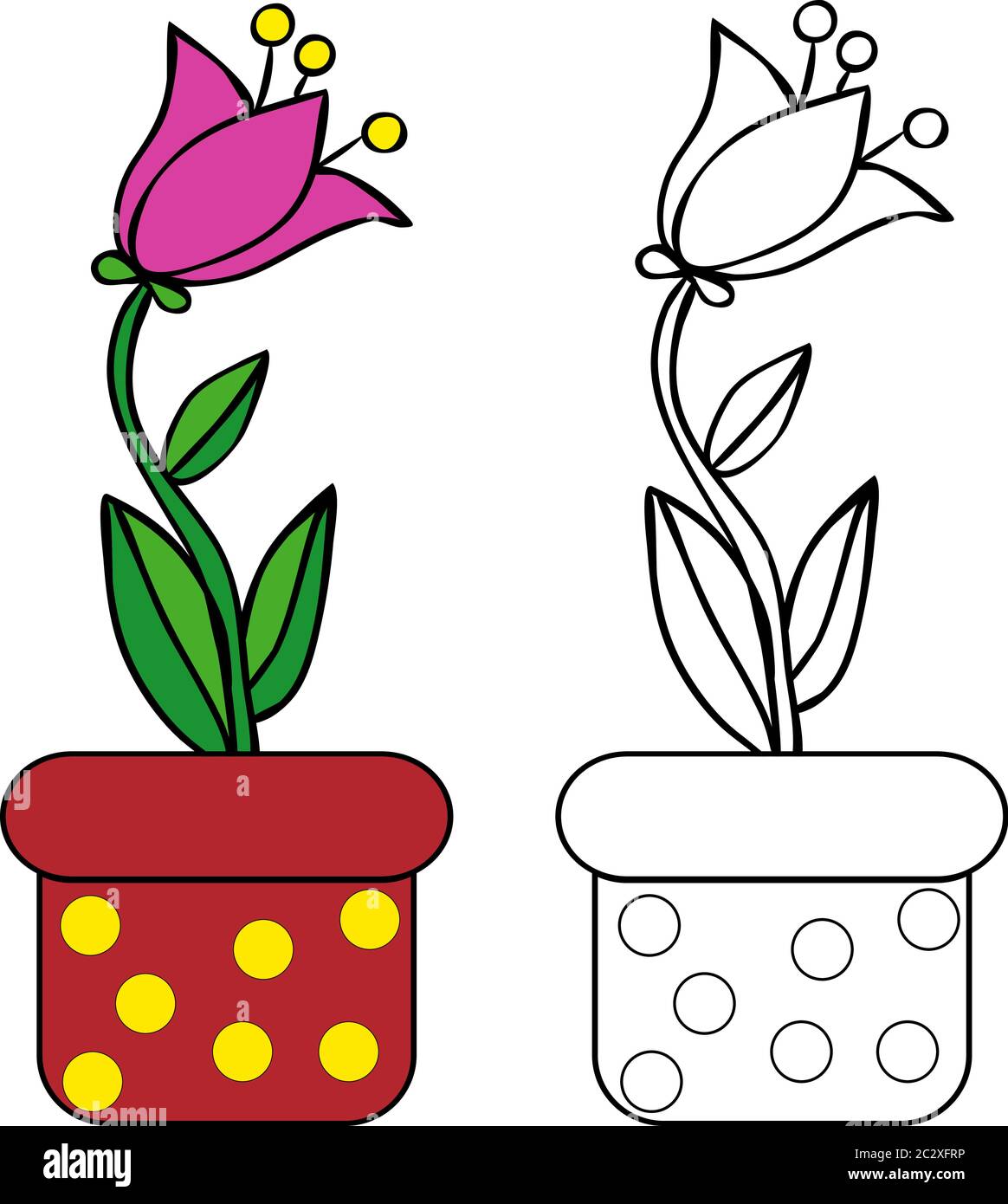 Book white flowers on Stock Vector Images - Alamy