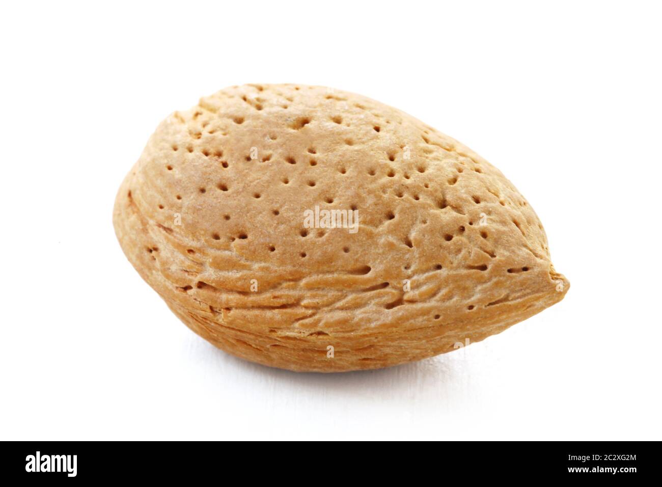 Shell nutshell hi-res stock photography and images - Alamy