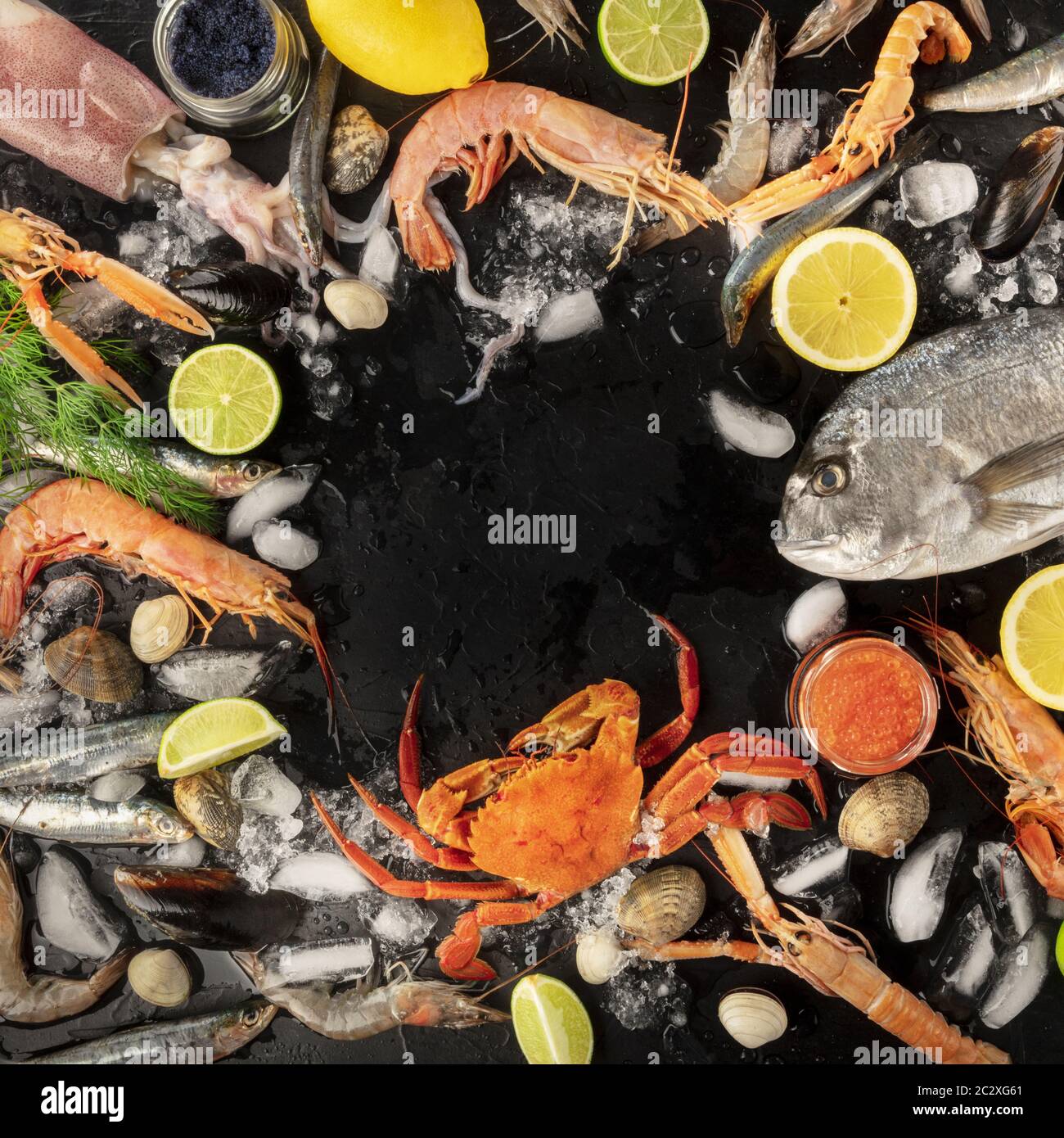Fish and seafood variety, a square flatlay top shot, a frame with copy ...