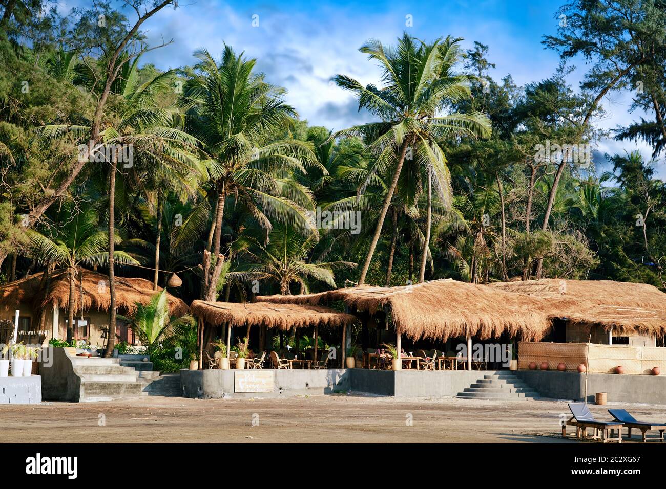 Goa coconut tree hi-res stock photography and images - Alamy