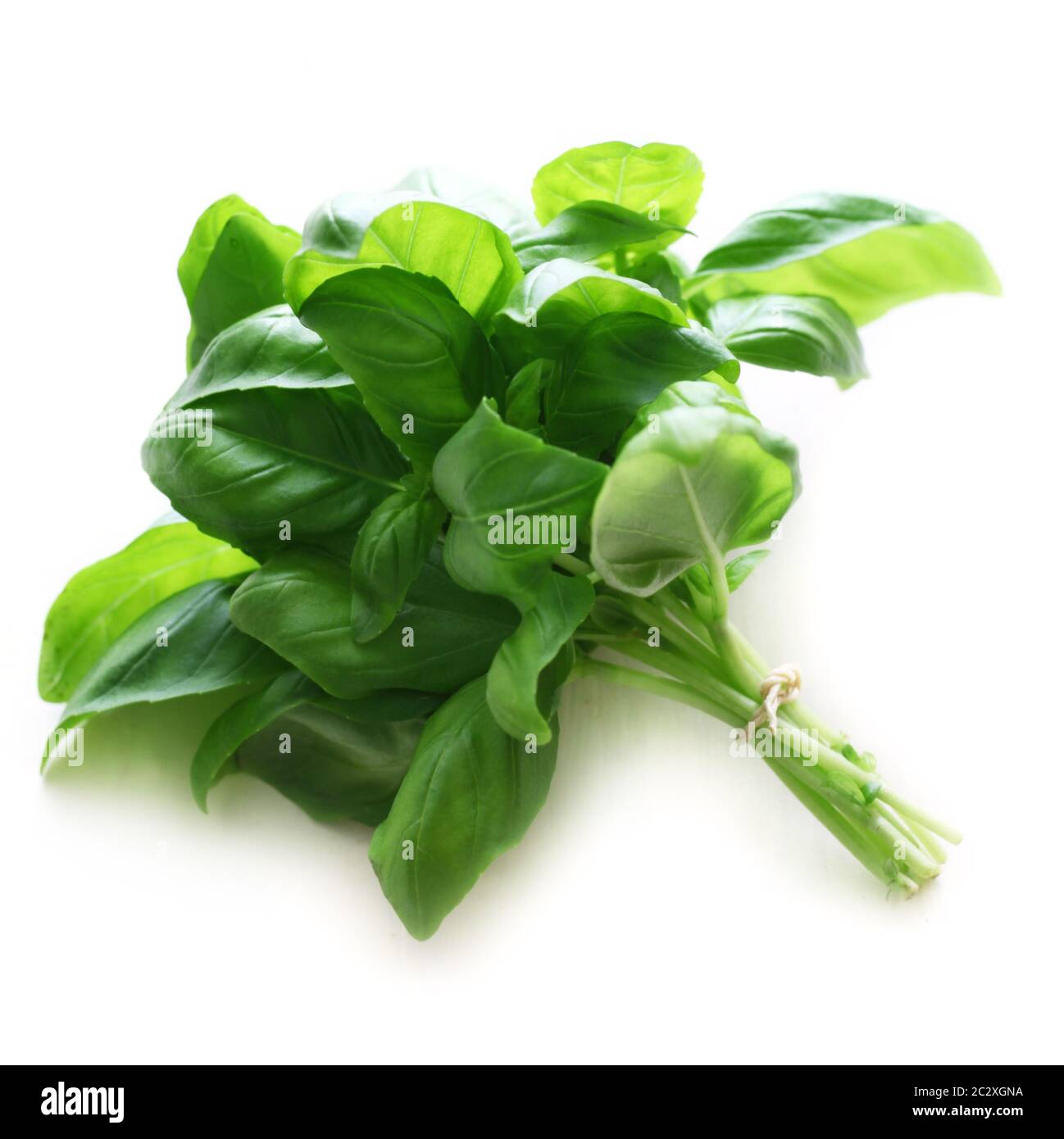 Bunch of Basil Isolated On White Stock Photo - Alamy