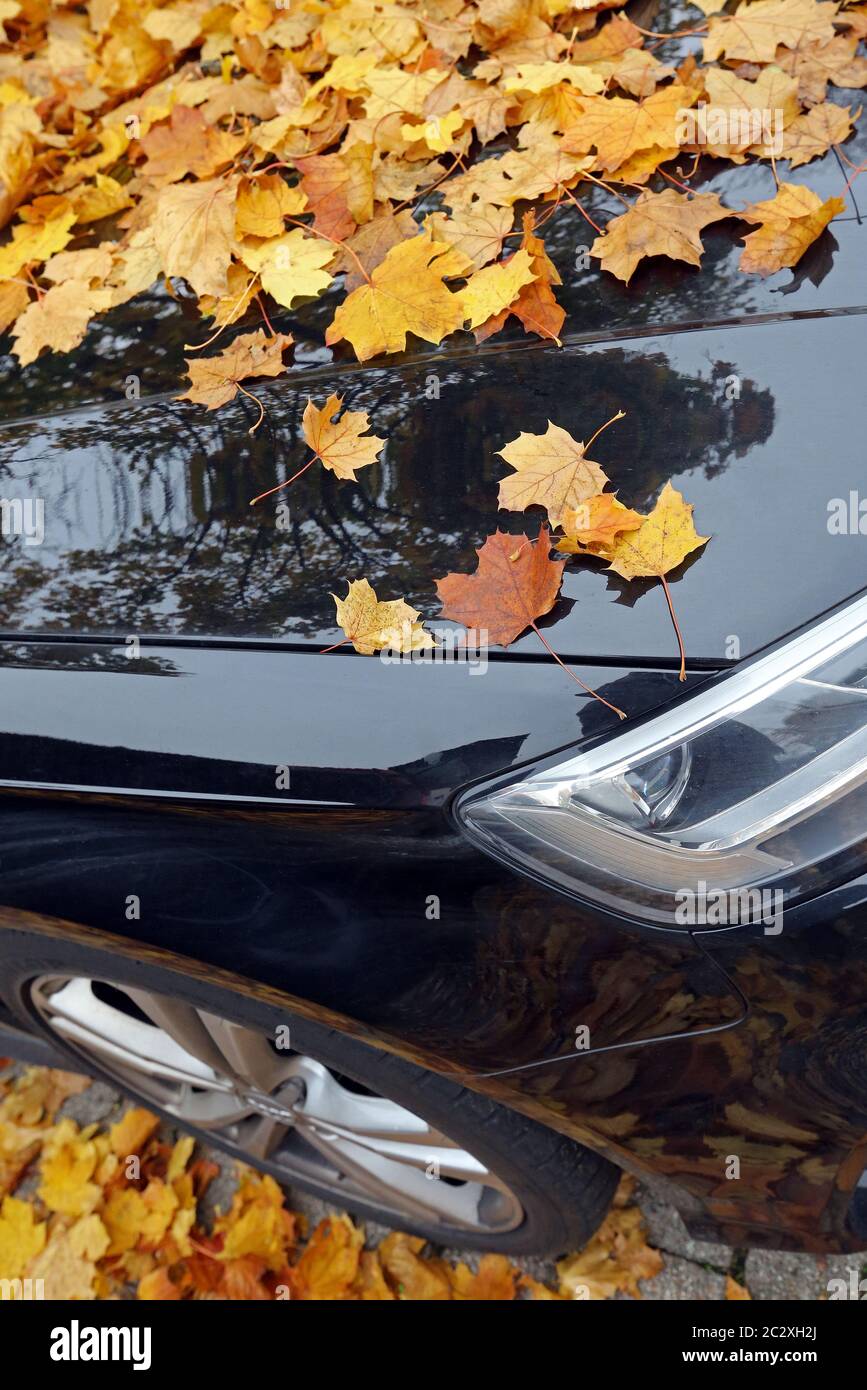 Autumn leaves cover a car Stock Photo - Alamy