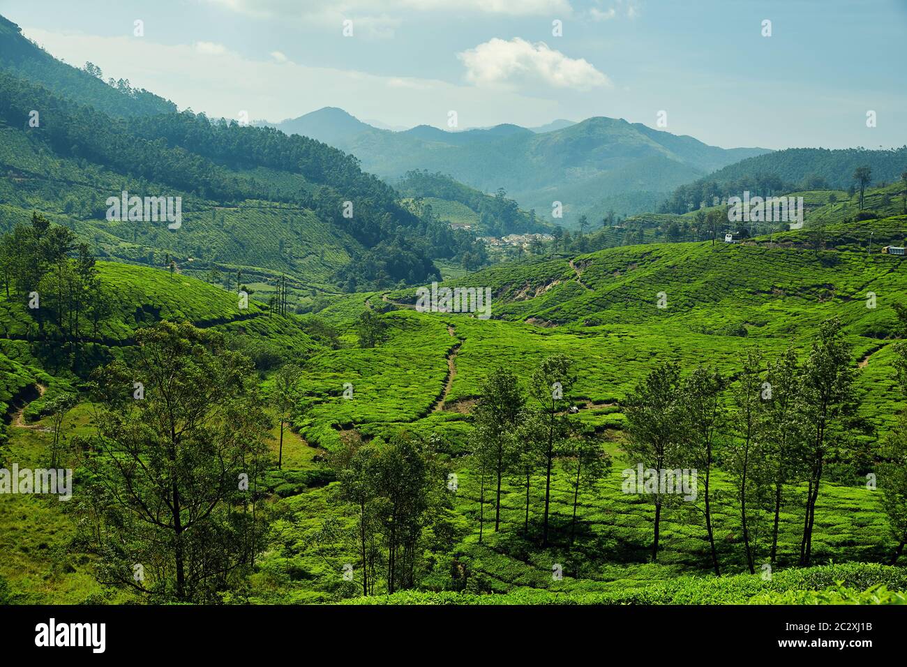 Tea plantation in munnar kerala hi-res stock photography and images - Alamy
