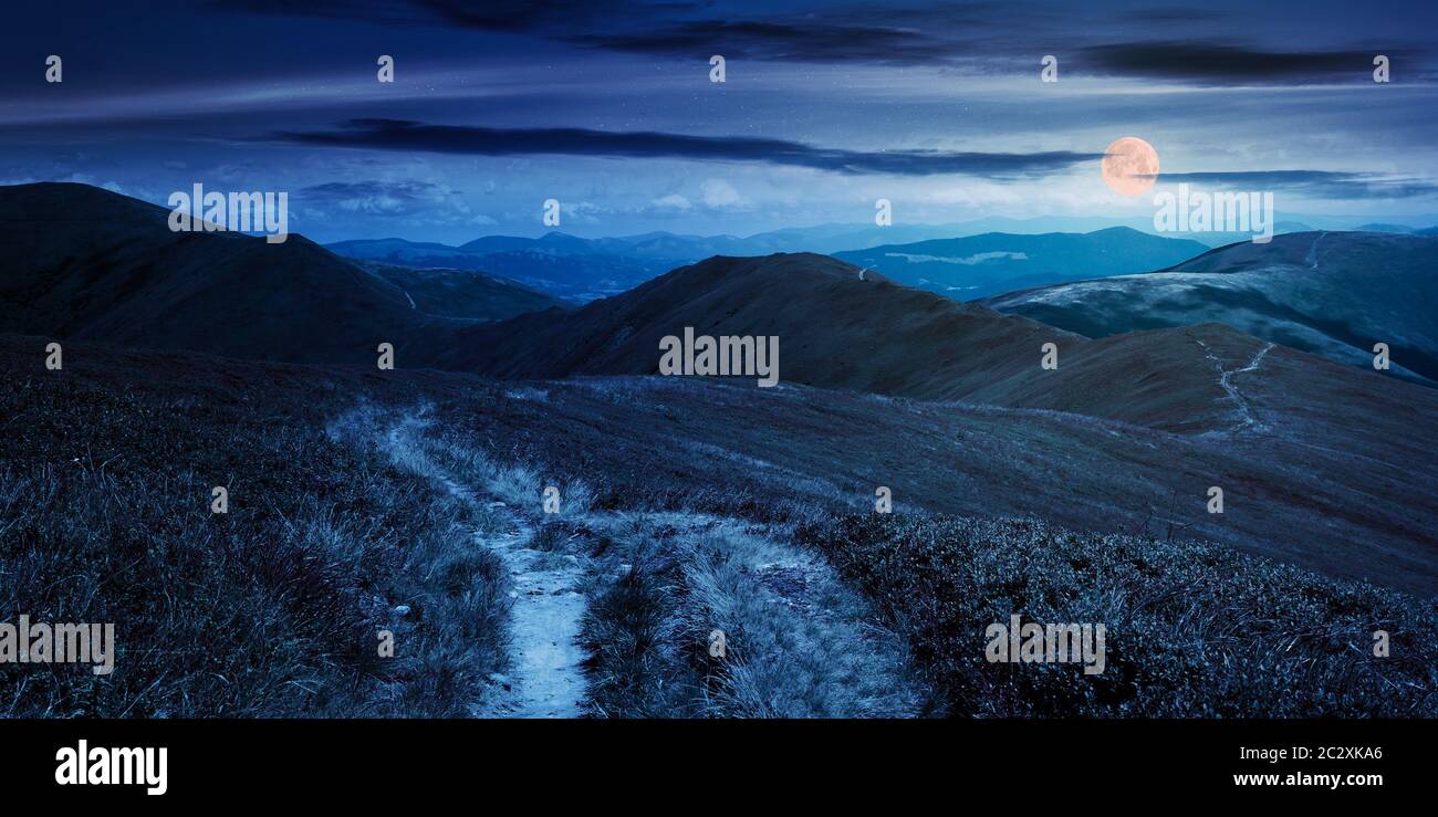 Grass Hill Night