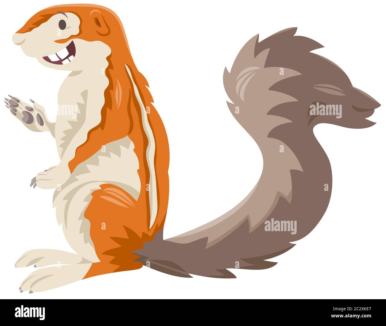xerus squirrel cartoon wild animal character Stock Photo - Alamy