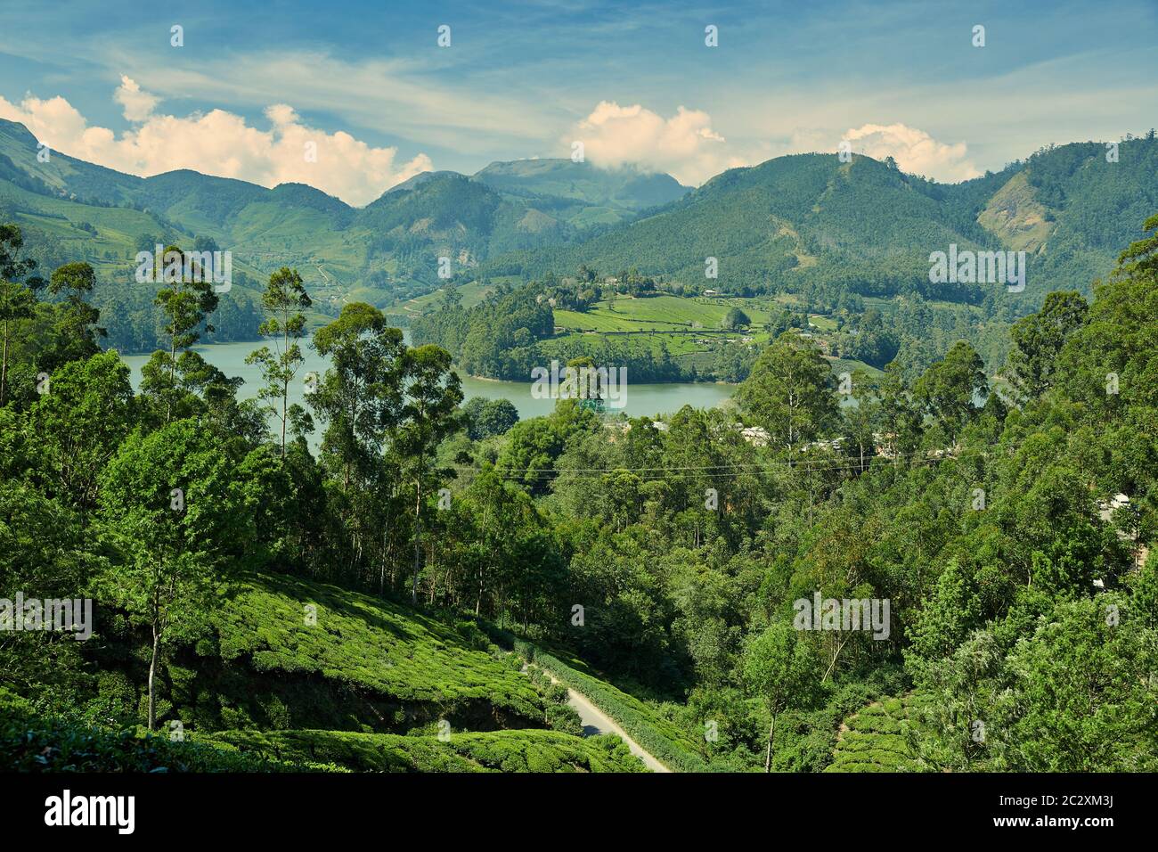 Munnar landscape, Kerala, India. December 2019 Stock Photo - Alamy