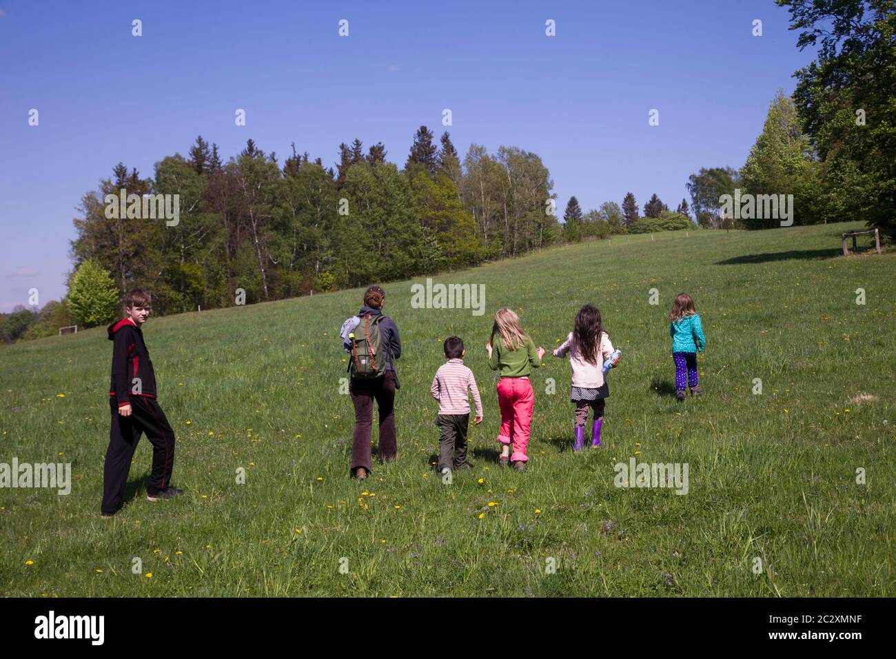 Kids playing on green meadow near natural forest Stock Photo - Alamy