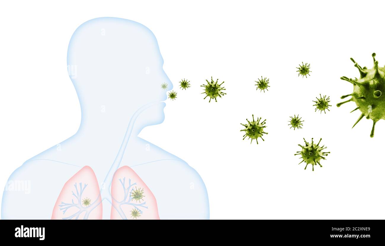 Microscopic view of influenza virus cells. 3D medical illustration ...