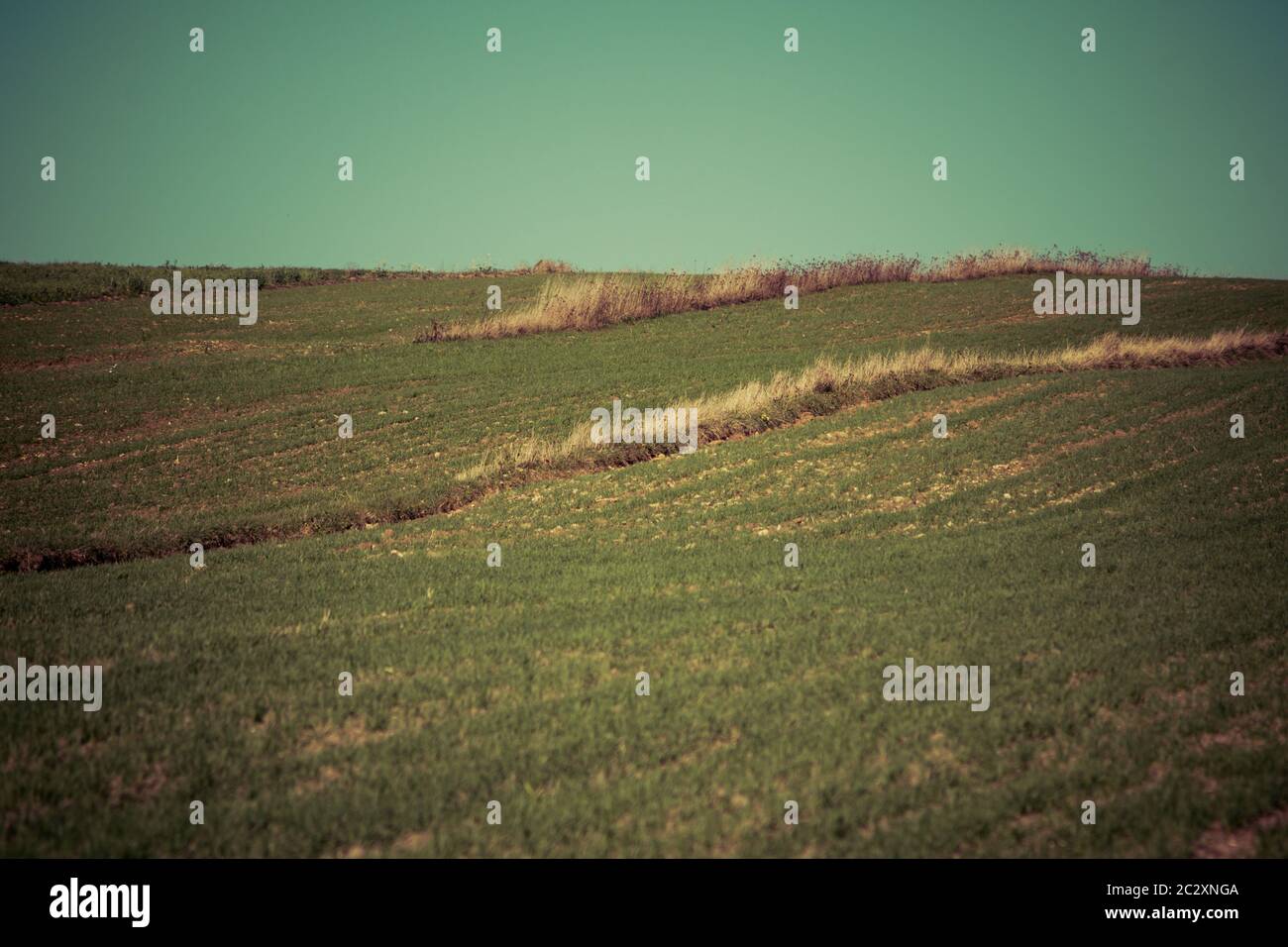 rural landscape with empty fields at the end of the summer season Stock ...