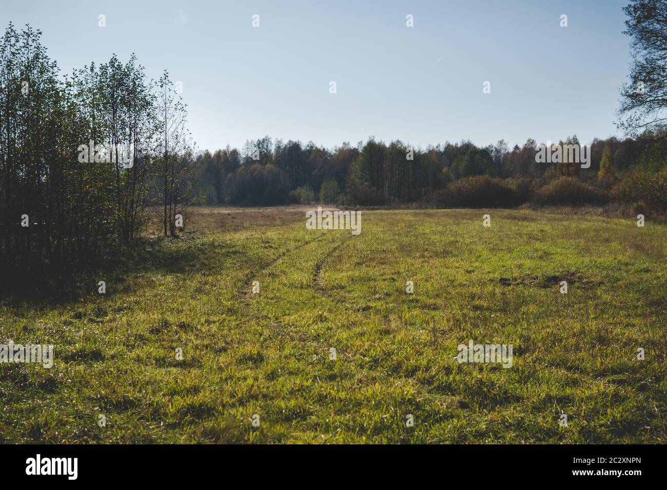 landscape with empty meadow at the beginning of autumn Stock Photo - Alamy