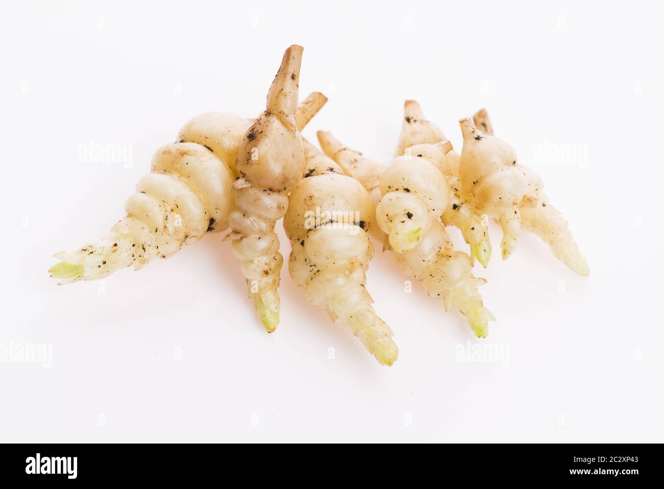 Chinese artichoke tubers hi-res stock photography and images - Alamy