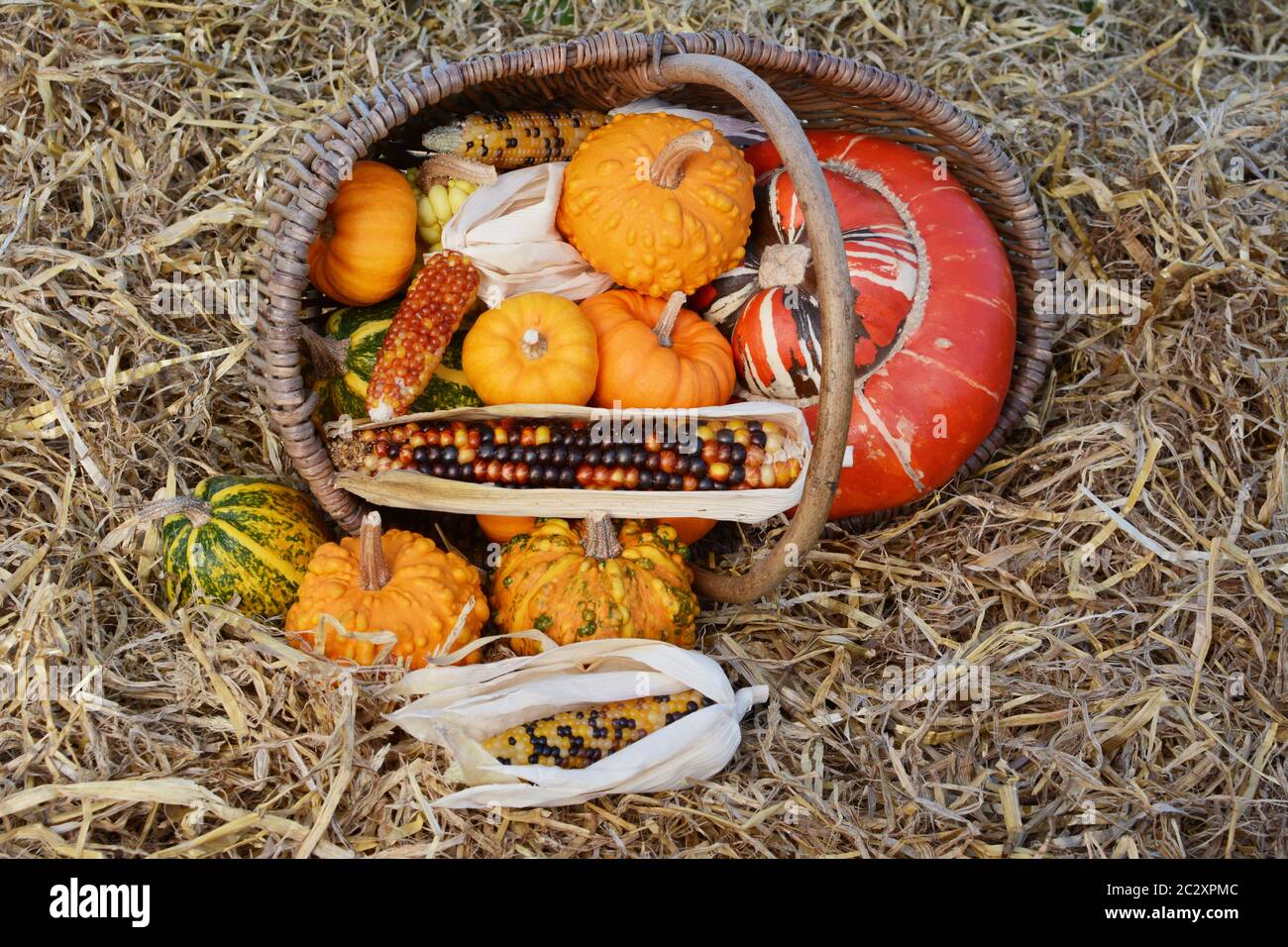 Fall selection of ornamental gourds and squash with multi-coloured ...