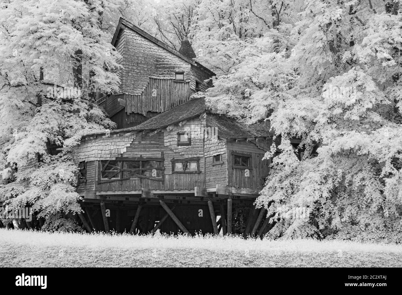 Treehouse uk hi-res stock photography and images - Alamy
