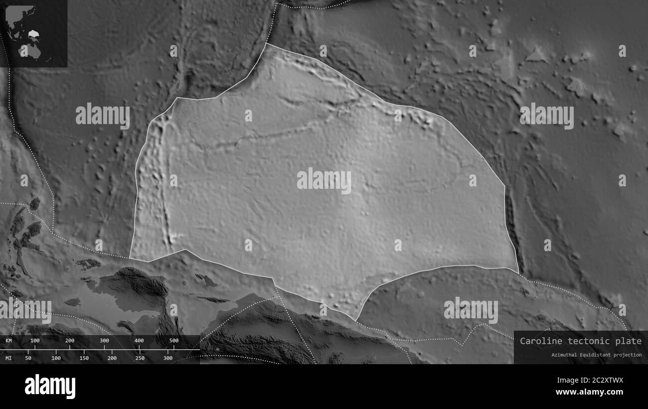 Caroline plate shape outlined on a darkened and desaturated background ...