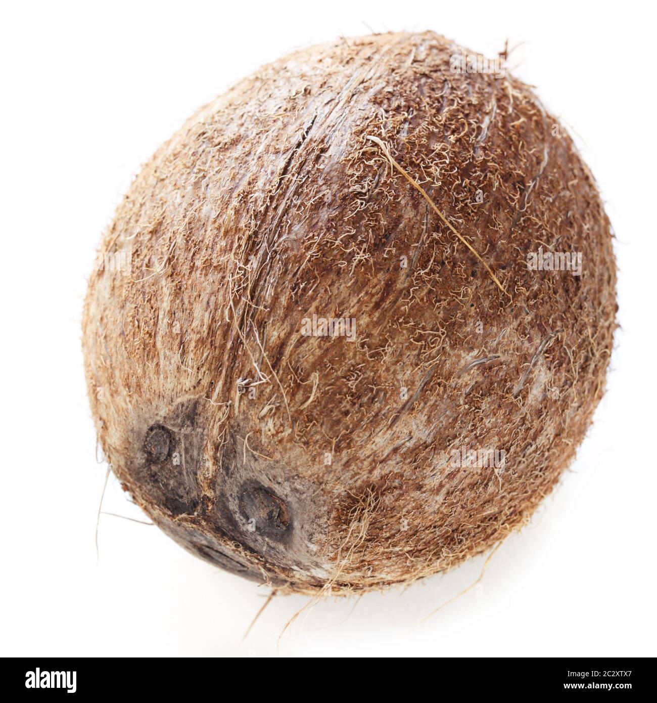 Coconut eating hi-res stock photography and images - Alamy