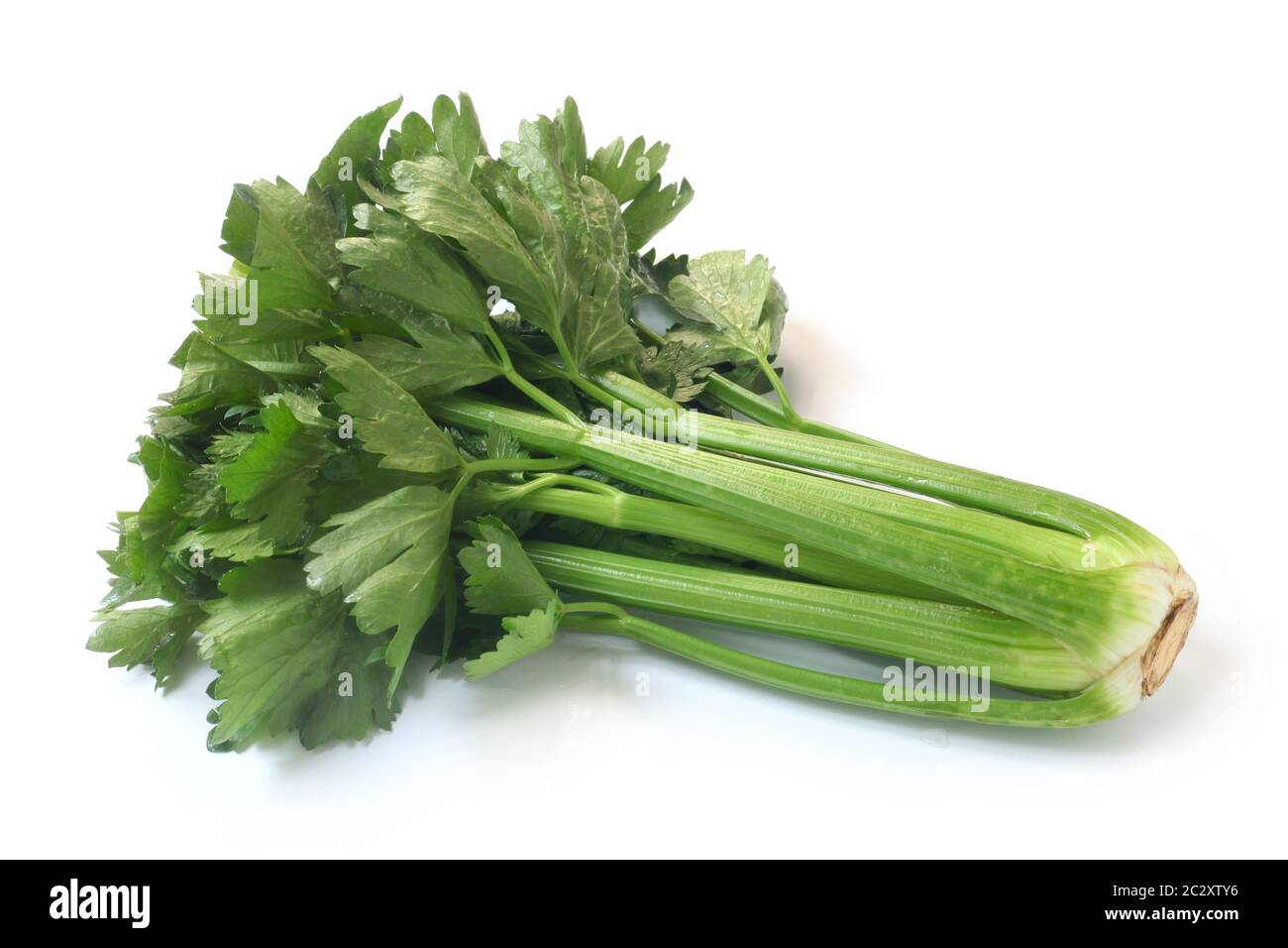 Celery vegetables Cut Out Stock Images & Pictures - Alamy
