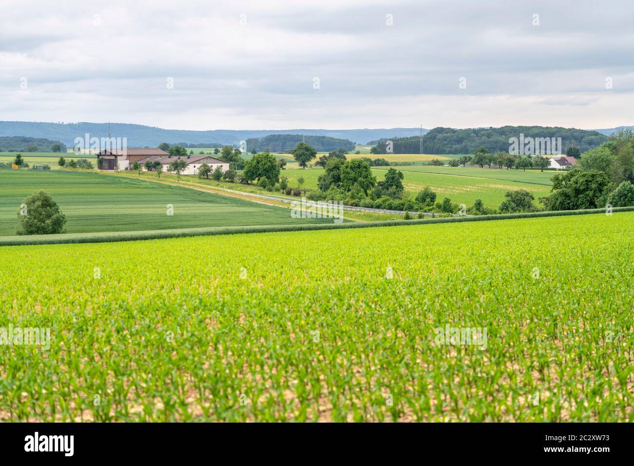 idyllic rural scenery in Hohenlohe, a area in Southern Germany Stock ...