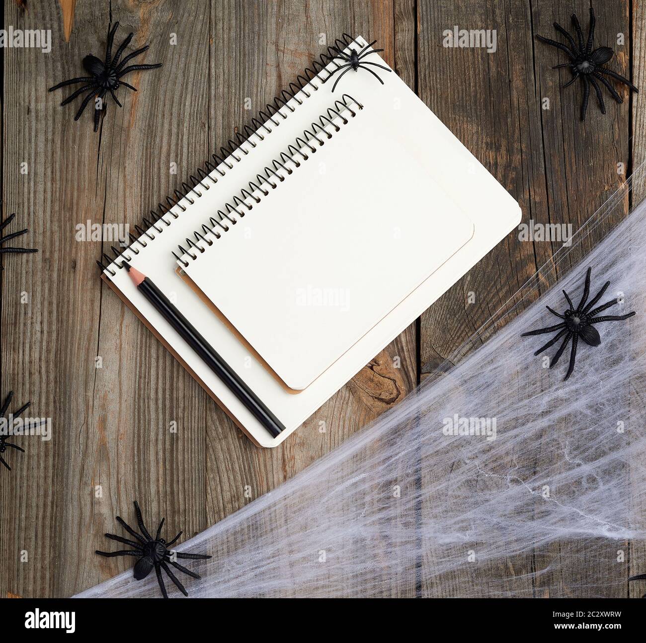open notebook with blank white pages, spider web and black spiders on a ...