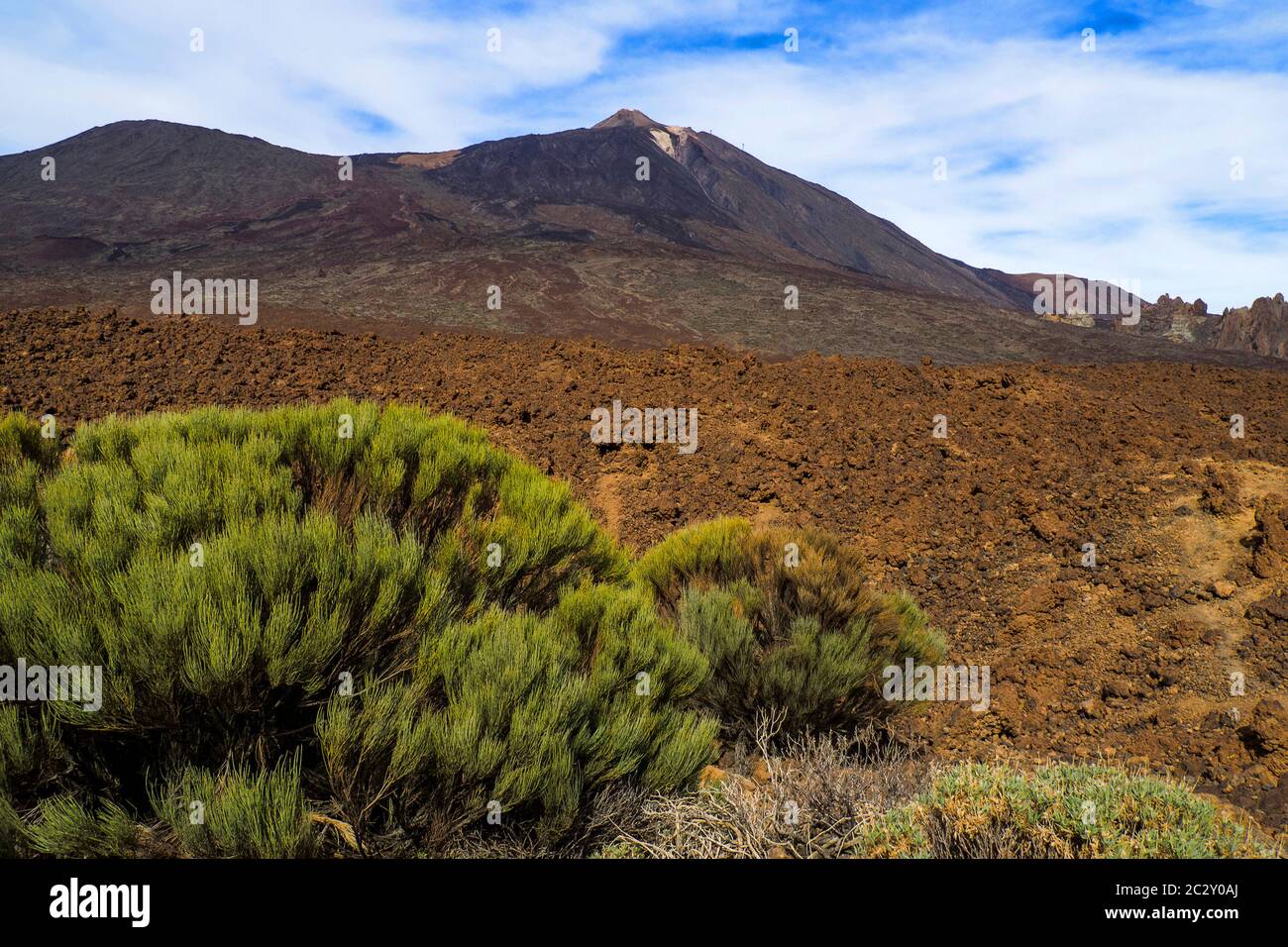 Canary Islands in Spain, Teide mountain on Teneriffa Stock Photo - Alamy