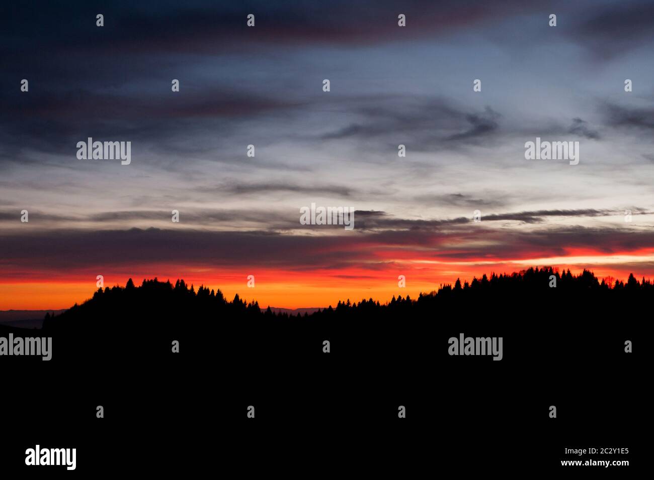 Dramatic red sky on dark woodland. Darkness landscape Stock Photo - Alamy