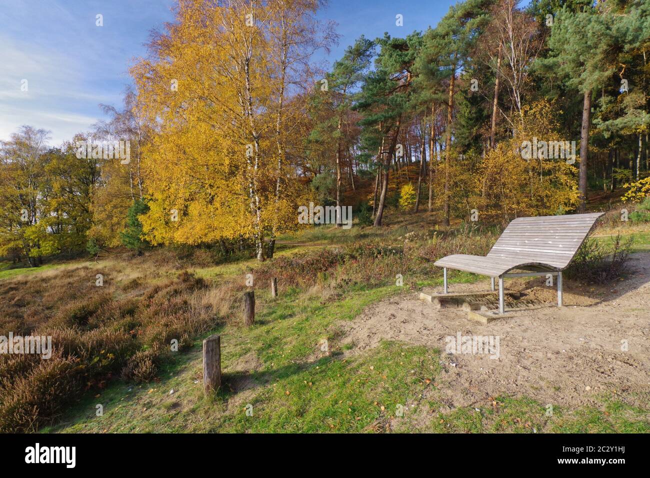 Autumn in Nature Reservat Senne, Oerlinghausen, Eastwestphalia-Lippe ...