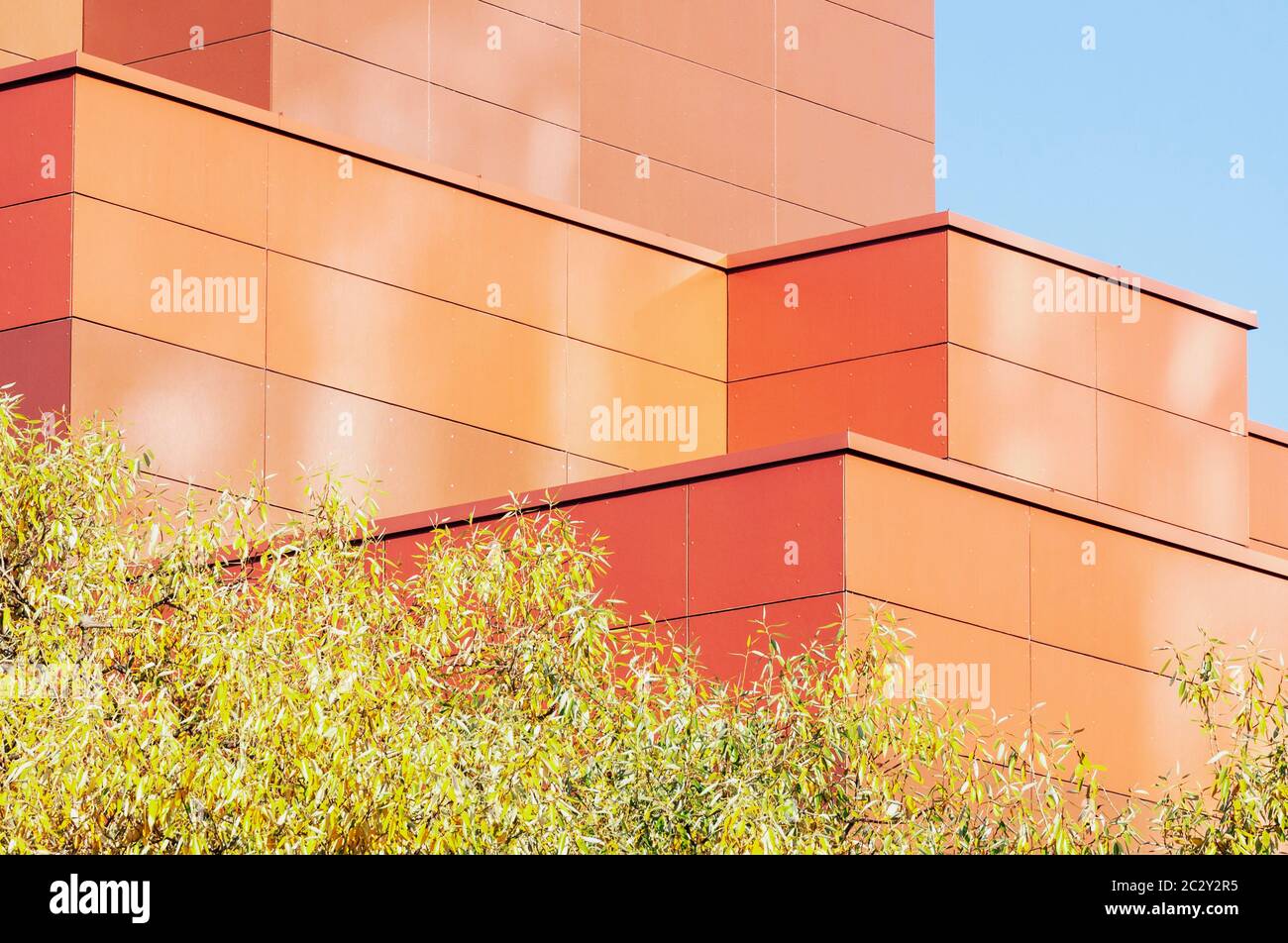 Abstract architecture detail with modern facade and tree leaves against ...