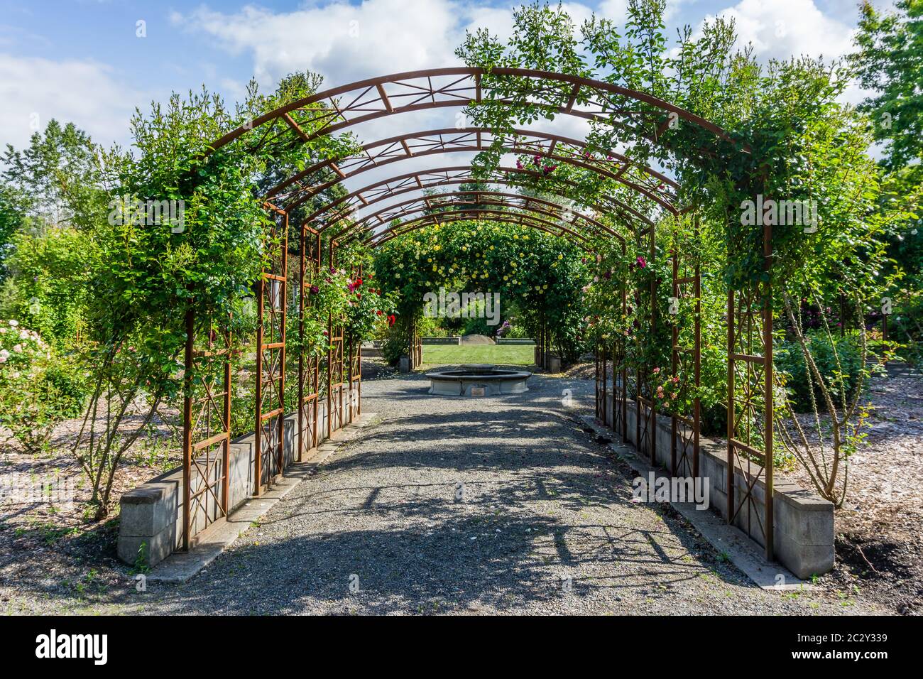An arched flower trellis in a garden in Seatac, Washington Stock Photo ...