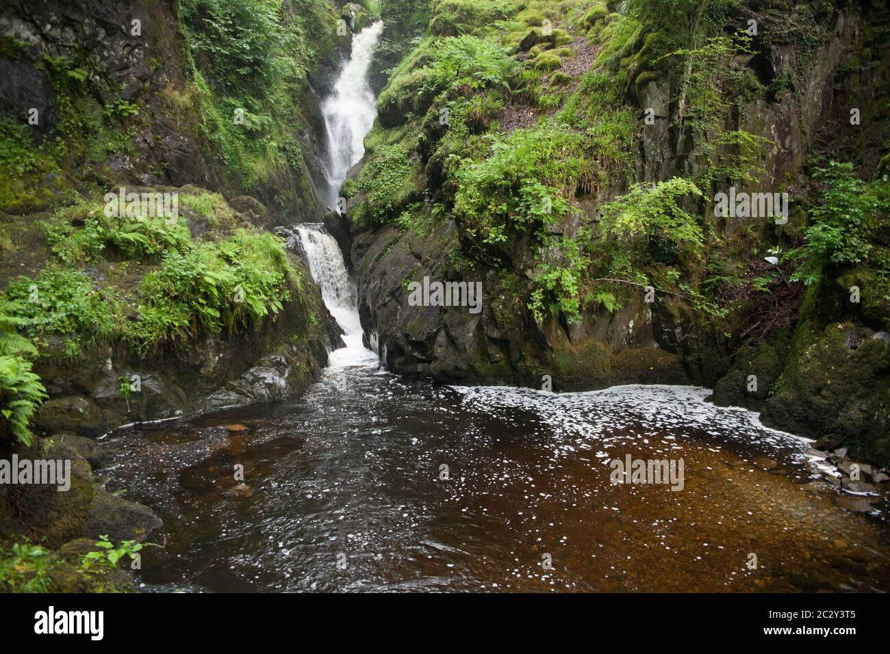Large waterfall with plunge pool through forest in the lake district ...