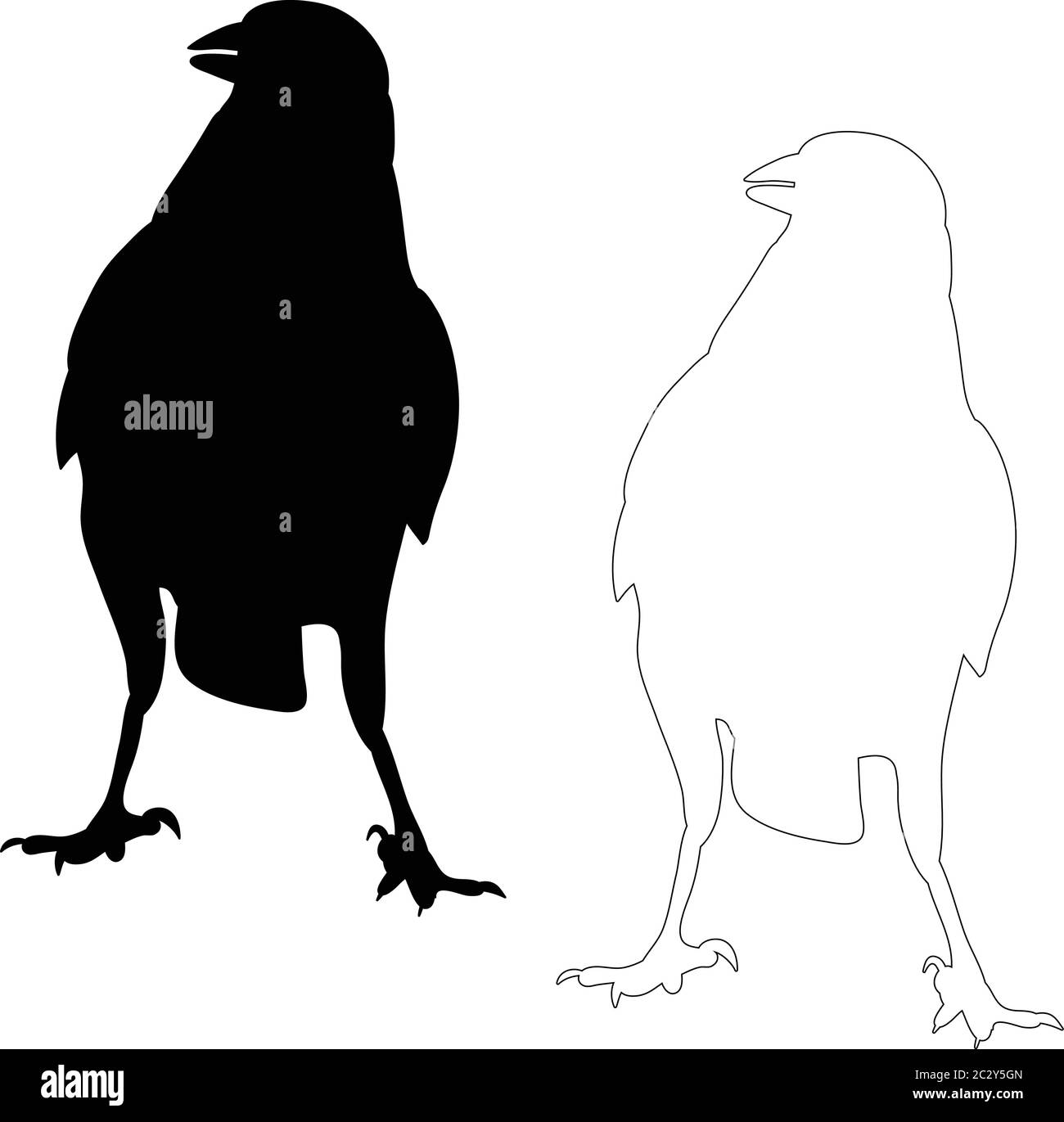 vector, silhouette ravens, birds outlines Stock Vector Image & Art - Alamy