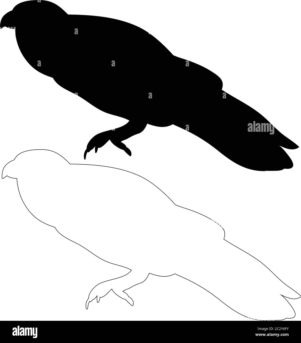 Wild ravens Cut Out Stock Images & Pictures - Alamy