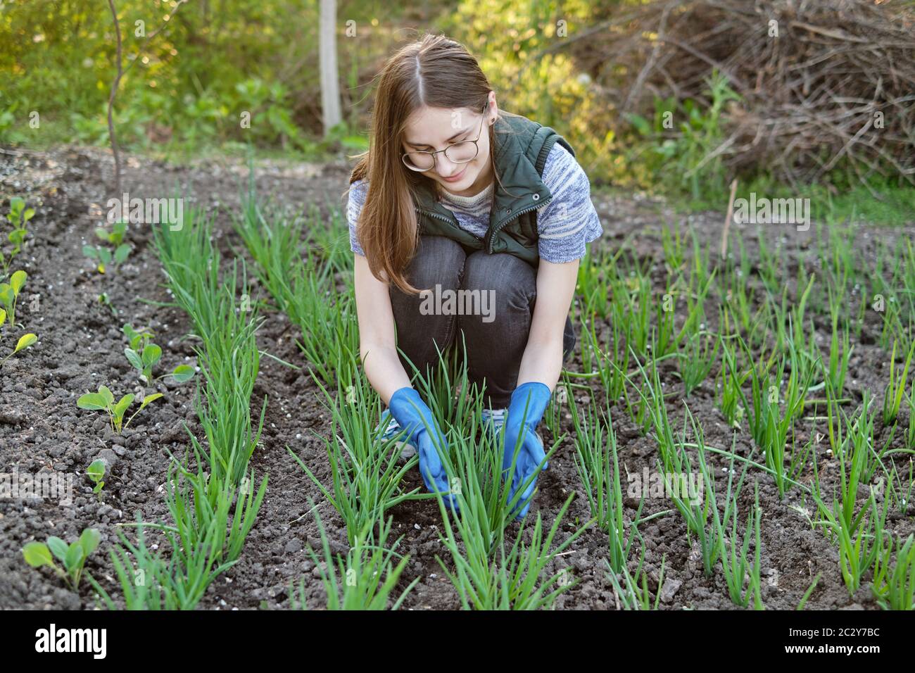 woman works on the ground growing organic plants, fruits and vegetable ...