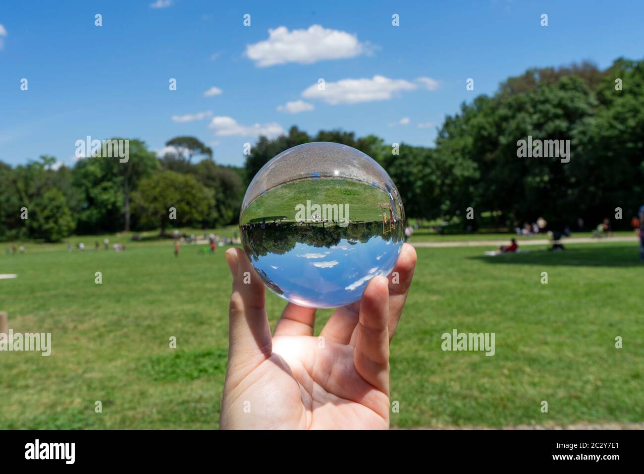image of a tree in a ball Stock Photo - Alamy